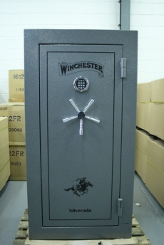 22 gun safe